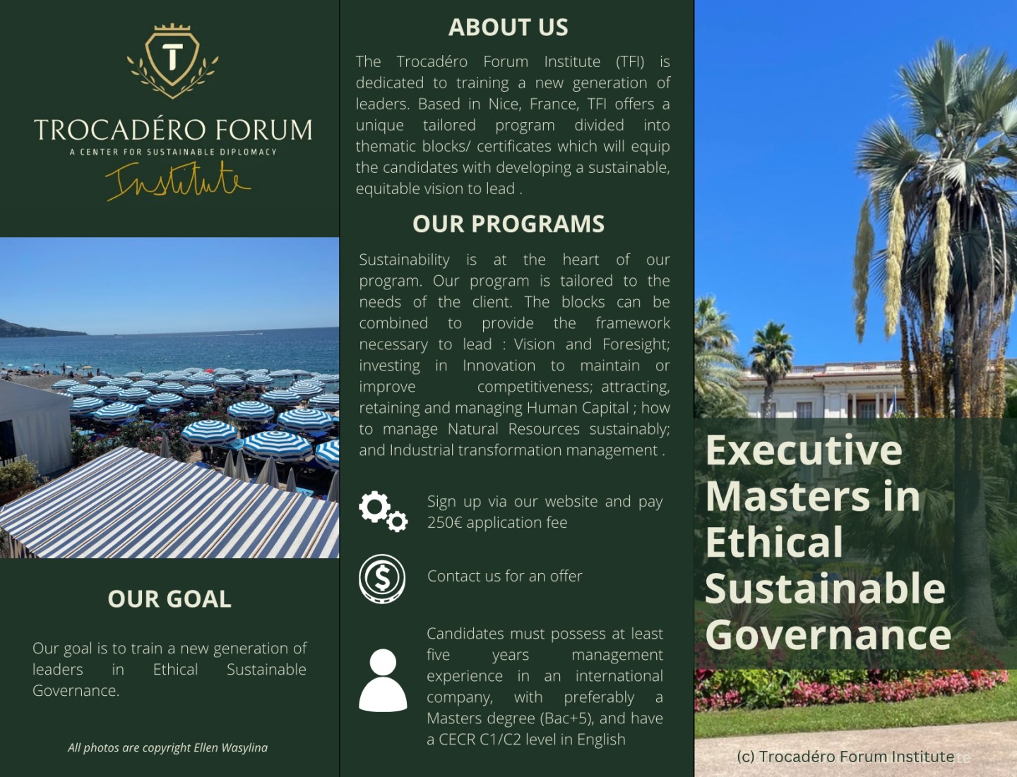 Executive Programmes – Trocadéro Forum Institute (TFI)